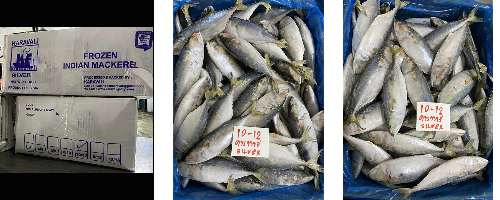 Mackerel Brain Food at Kristopher Chambers blog